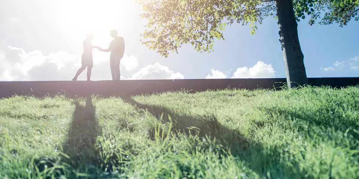 Het effect van ‘naar beste weten-garanties’
